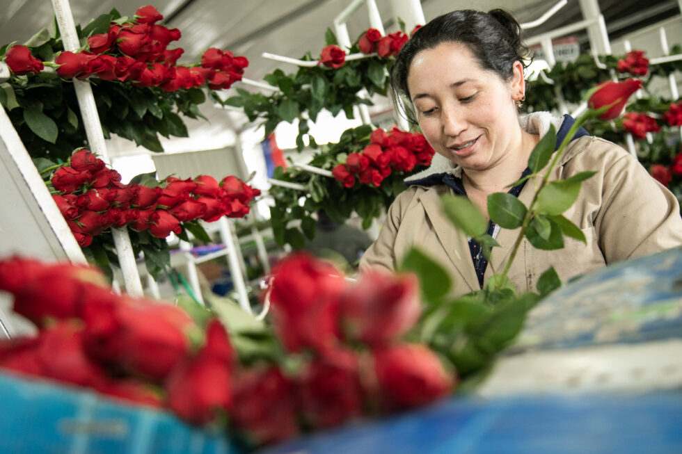 Colombian Farms Advance Gender Equity - safnow.org